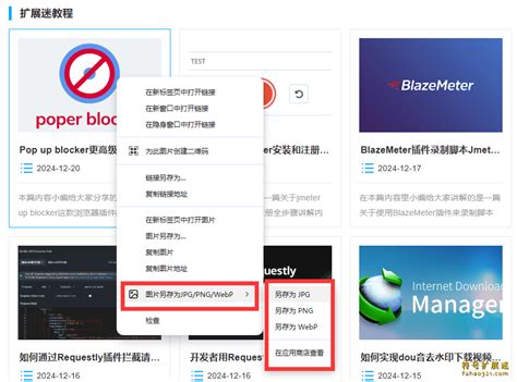 图片另存为 Png Webp 轻松保存多种格式图片 V1 2 4 Chrome浏览器插件扩展 符号扩展迷