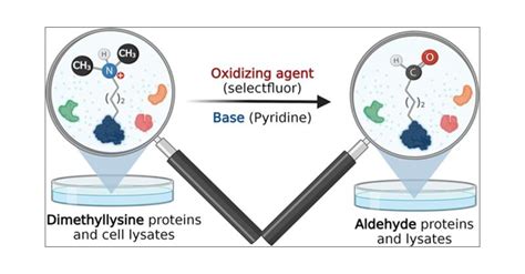 Erick Carreira On Linkedin Tertiary Amine Coupling By Oxidation For