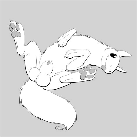 Rule 34 11 3 Toes Animal Genitalia Balls Canid Canine