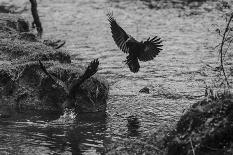 Shutter Priority Mode Or TV Mode In Photography Explained