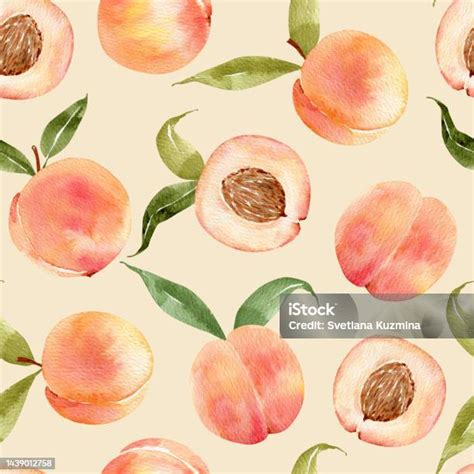 복숭아의 수분이 많은 과일 베이지색 배경에 수채화 그림이 있는 매끄러운 패턴 복숭아나무에 대한 스톡 벡터 아트 및 기타 이미지 복숭아나무 복숭아류 수채화 Istock