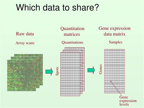 ppt minimum information about a microarray experiment miame