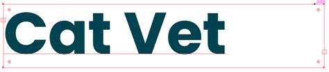 how to align text in adobe illustrator [5 easy ways]