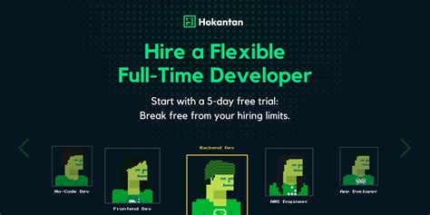 What Is Hokantan Flexible Developer And How To Hire One