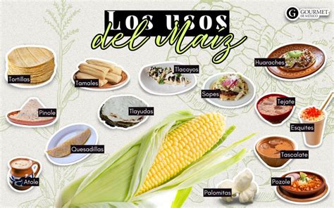 Los Usos Del Maíz Alimentos Derivados Del Maiz Productos Derivados