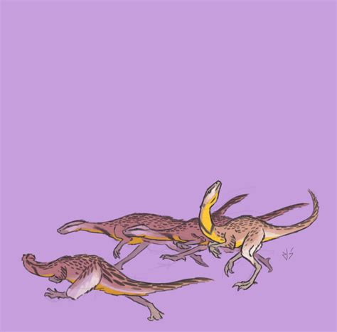 Dinovember Day 17 Eoraptor Smallerdelusions On Tumblr