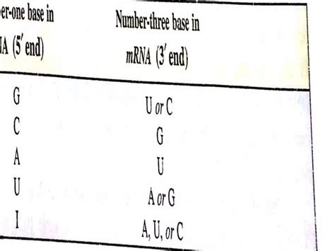 Wobble Hypothesis And New Genetic Code Pptx