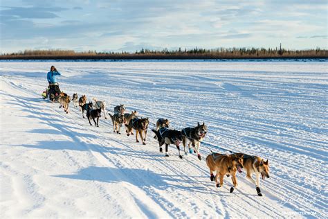 Matthew Failor Arriving To Nenana Dave Poyzer