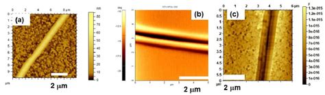 A Atomic Force Microscopy Image Of An Isolated Coaxial Fiber Of