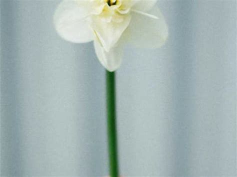 Configuring Spring Boot For Different Environments Guide Moldstud