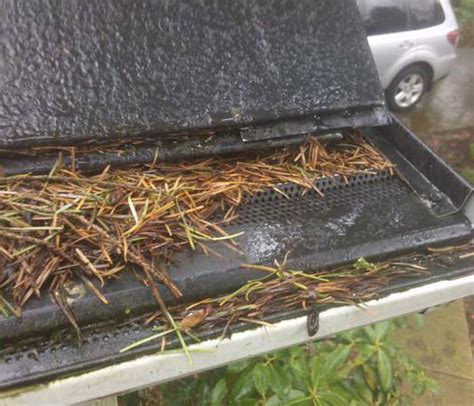 Should You Remove Gutter Covers Action Northwest