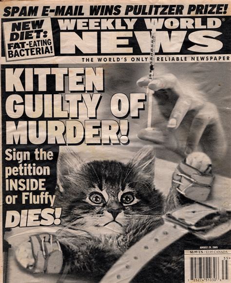 Kitten On Death Row Weekly World News Cover Laminated Print Etsy