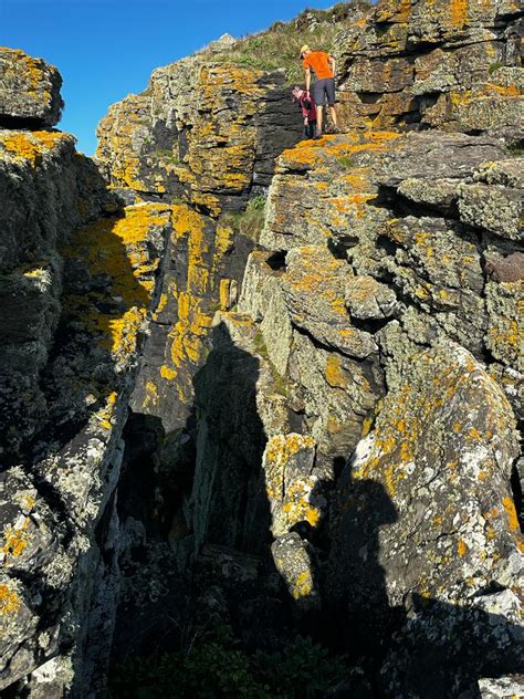 The Many Faces Of Barry D The Magik Rock