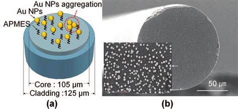 Structure Of Fo Lspr Sensor A Schematic View And B Fe Sem Images Structure Of Fo Lspr Sensor A Schematic View And B Fe Sem Images