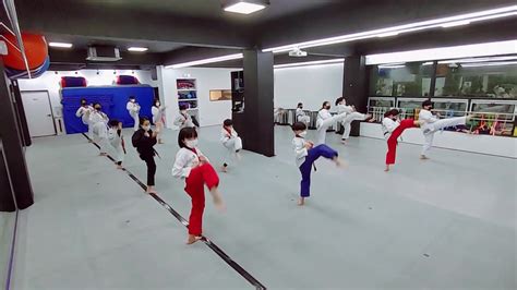 예능익스트림태권도 태권도 체조 핸드스프링 기본동작 체력 태권도🥋🥋🥋 골반과 허리 사용해서 동작만들기 무릎 사용 이해하기 체조🤸‍♂️🤸‍♂️🤸‍♂️ 한발 핸드