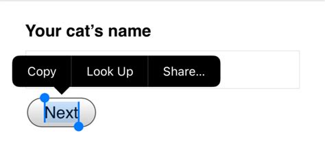 Ios Safari Input コピー Exoacsuppo