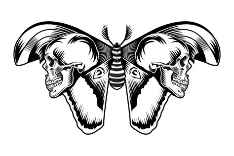 Moth With Skulls On Wings Vector Illustr Graphic By Pch Vector · Creative Fabrica