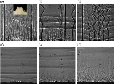 Role Of Microstructure And Composition On Natural Convection During Ternary Alloy Solidification