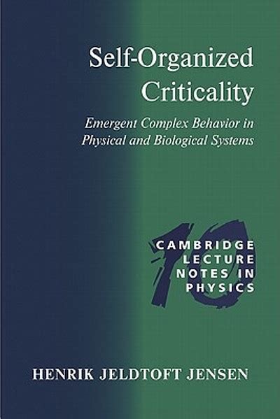 Self Organized Criticality Emergent Complex Behavior In Physical And