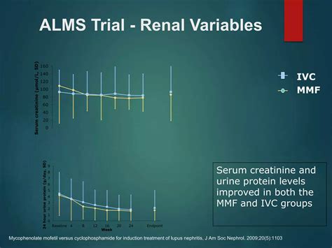 Therapy Of Focal Or Diffuse Proliferative Lupus Nephritis Mohd