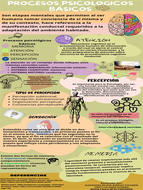 Infografía Procesos Psicologicos Basicos Pdf Percepción Atención