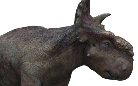 Patchi By Dracoawesomeness On Deviantart