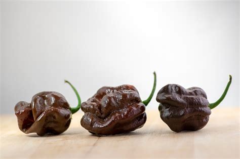 세 고추 하바네로 나무 테이블에 어두운 갈색 색상 멕시코 요리 매우 뜨거운 재료 숙성 및 숙성 되지 않은 과일 단고추에 대한 스톡 사진 및 기타 이미지 Istock
