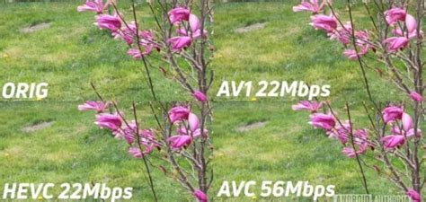 Transcode Your Video To Any Codec Resolution Aspect Ratio Bitrate By Mightymonke Fiverr