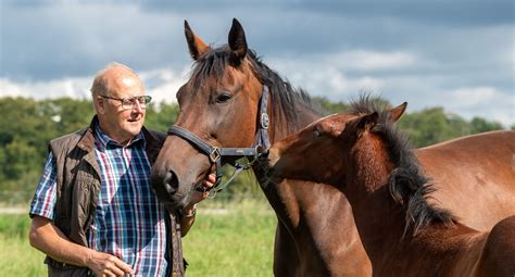 Brodda Stuteri Förstärker Sulkysport