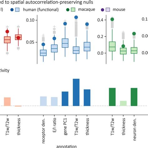Standardized Assortativity Of Micro Architectural Annotations A
