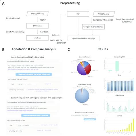 rcare rna seq data processing steps and annotation result download