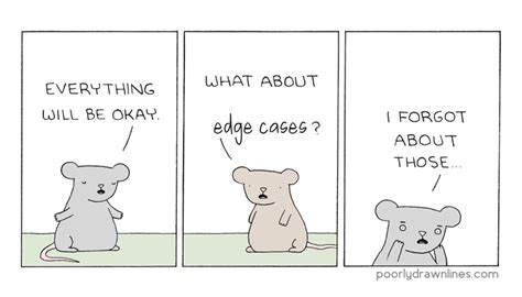 When You Forget About Edge Cases R ProgrammerHumor