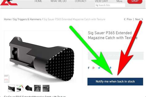 Anatomy Of The Sig P365 A Visual Guide