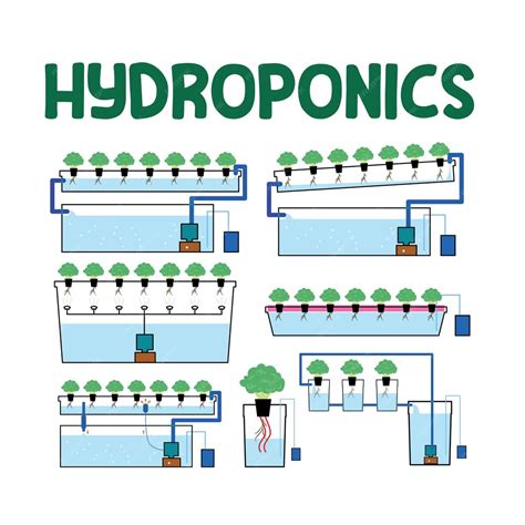 Premium Vector Vector Hydroponics System Poster Template