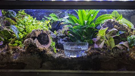 Discover 44 Snake Enclosures Ideas On This Pinterest Board Snake