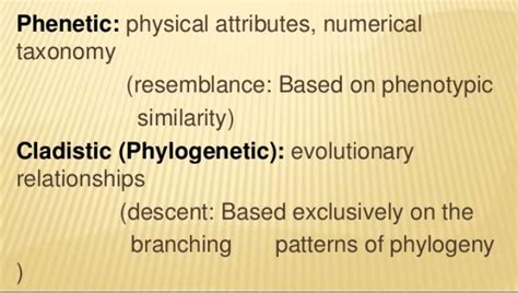 Describe In Details The Phenetic And Cladistic System Of Plants