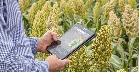 Why Accelerate Automation And Robotics For Agriculture Grow