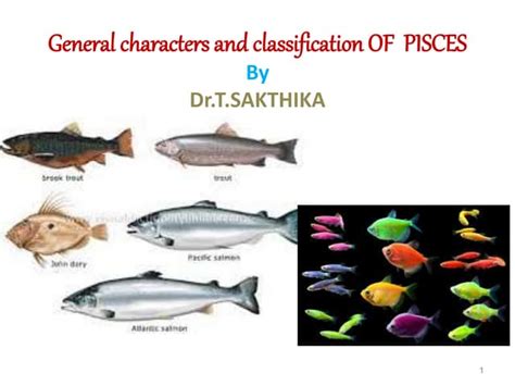 7 Classification Of Pisces Ppt