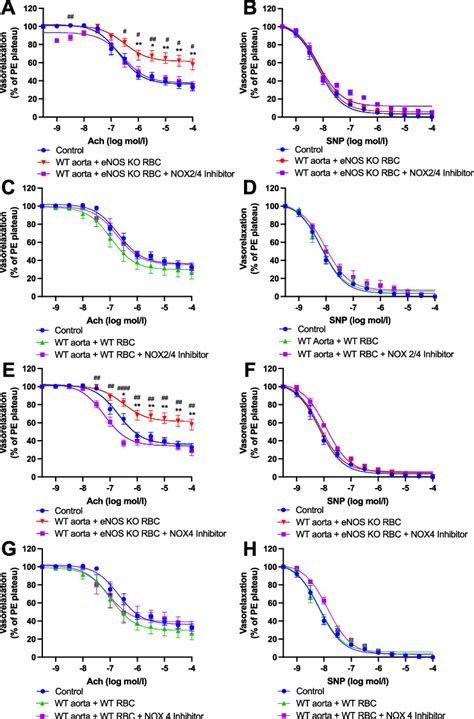 Functional Role Of Dysregulated Elevated Ros In Enos Ko Rbcinduced Download Scientific Diagram