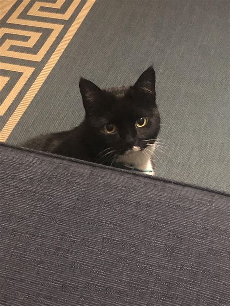 Math Class Was Boring So I Drew Our Boi Rtechnoblade