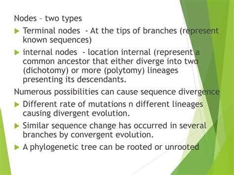 Phylogenetic Analysiscss2pptx