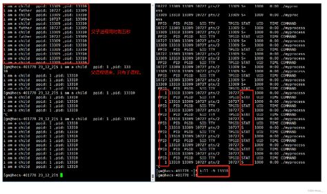 linux 进程 三 linux进程 为什么大部分s状态 csdn博客