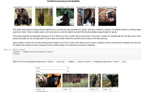 Imageclassifiercleaner Doesn T Display Images With Top Losses Weights Biases