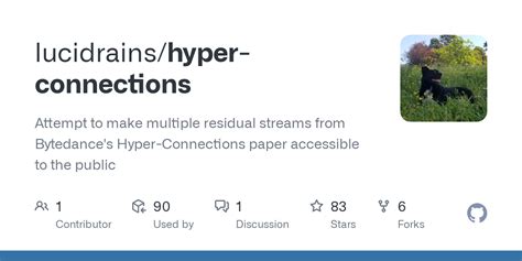 github lucidrains hyper connections attempt to make multiple