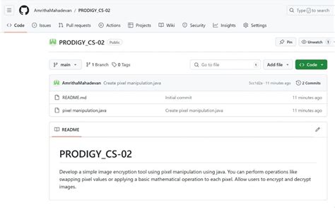Amritha M On Linkedin Prodigyinfotech Cybersecurity Internship Java Imageencryption