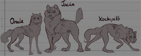 Koilada Professional Filmographer Deviantart Koilada Professional Filmographer Deviantart