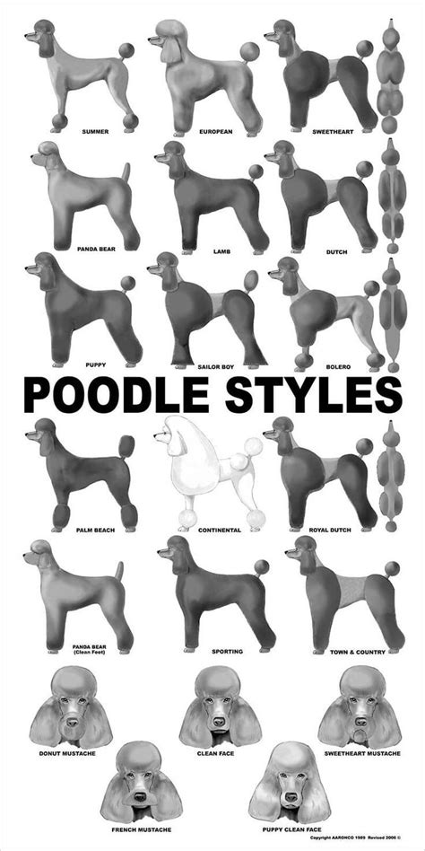 Poodle Styles Poodle Grooming Dog Training Dog Grooming Styles