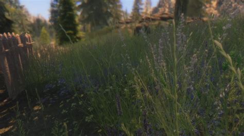 Identify An Armor Mod Request And Find Skyrim Non Adult Mods Loverslab