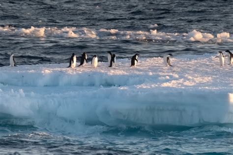 QUIZ The Poles Geographical