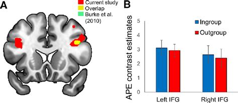 Action Prediction Error Coding Regardless Of Group A Prefrontal